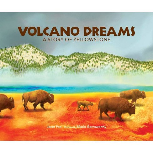 Volcano Dreams - By Janet Fox (paperback) : Target