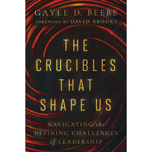 The Crucibles That Shape Us - By Gayle D Beebe (hardcover) : Target