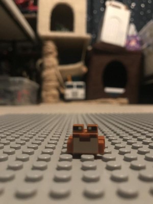 Lego Minecraft The Frog House Gaming Toy 21256 : Target