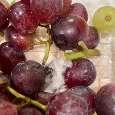 Extra Large Bi-color Seedless Grapes - 2lb : Target