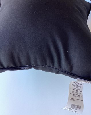 Sunbrella 2pk Canvas Outdoor Throw Pillows Black : Target