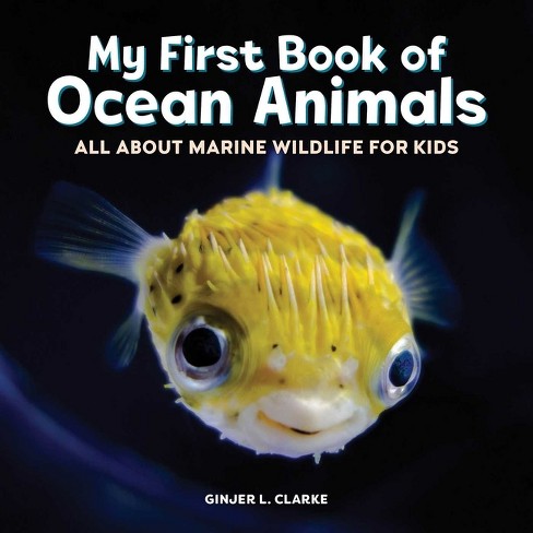 My First Book Of Ocean Animals - By Ginjer Clarke (hardcover) : Target