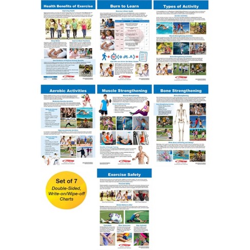 Sportime Exercise Facts Bulletin Board Charts, Set Of 7, Grades 5 To 12 ...