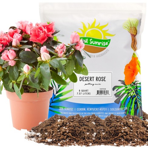 Soil Sunrise 8qt Desert Rose Potting Soil Mix, Repot, Sprout And Grow ...