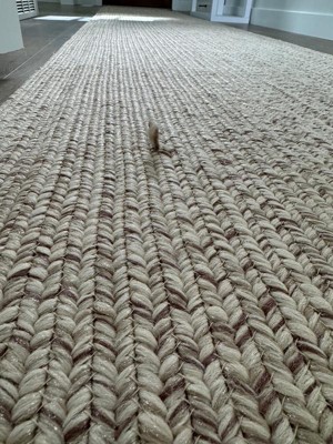 Nuloom Wynn Solid Oval 3x5 Indoor/outdoor Accent Rug For Living Room ...