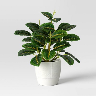 5.5" Mini Tabletop Peperomia Artificial Plant - Threshold™ : Target