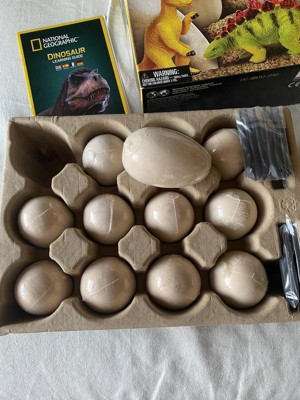 National Geographic Dinosaur Egg Dig Kits - 12 Dino Egg-shaped Dig ...