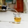 True Bullseye Measuring Shot Glasses, Cocktail Accessories, Reusable ...
