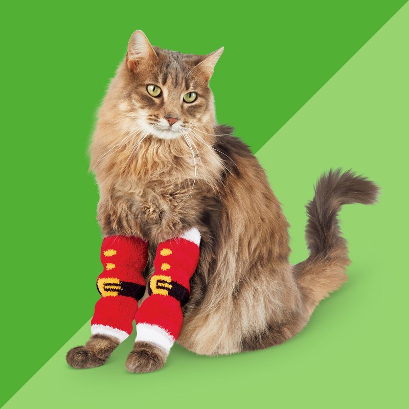 Cat : Gifts for Pets : Target