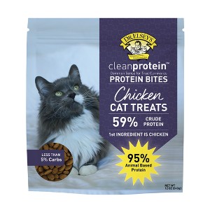 Dr. Elsey's Clean Protein Chicken Flavor Crunchy Cat Treats - 12oz : Target