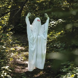 5 Ft. 1/4" Light-Up Life-Size Ghost on a Swing Halloween Decoration ...