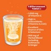 Airborne Immune Support Supplement Dissolving Tablets - Zesty Orange ...