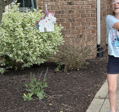 Mini Unicorn Pinata - Spritz™ : Target