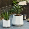 Luxenhome Set Of 2 White Octagon Mgo Planters : Target