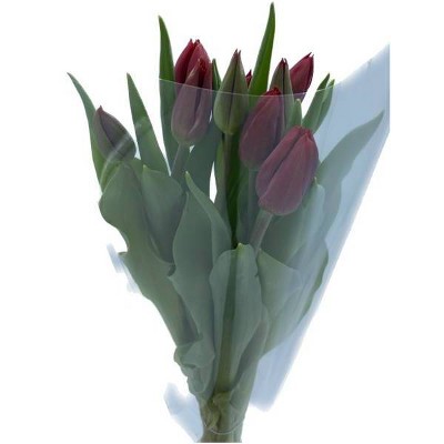 Fresh Flowers & Plants : Target