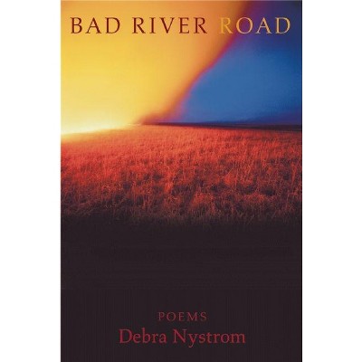 Bad River Road - by Debra Nystrom (Paperback) : Target