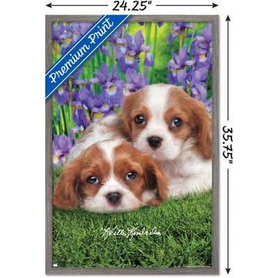 Trends International Keith Kimberlin - Cavalier King Charles Puppies ...