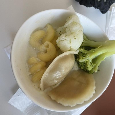 Nasoya Organic Vegan Tofu Vegetable Dumplings - 9oz : Target