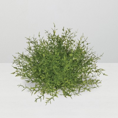 Sullivan's Feather Fern Half Orb, Light Green Faux Floral Decor for ...