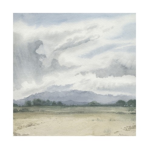 Trademark Fine Art - Grace Popp Shadows Of A Storm Ii Canvas Art - 24 X ...