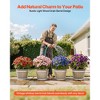 VEVOR Plant Pots, 4Pack 11.81inch Whiskey Barrel Planters with Drainage ...
