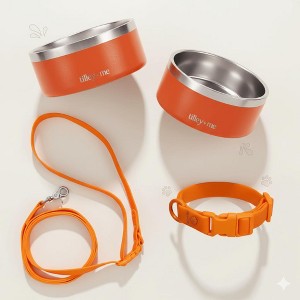 Tilley + Me The Bowl, Collar & Leash Adventure Trio : Target