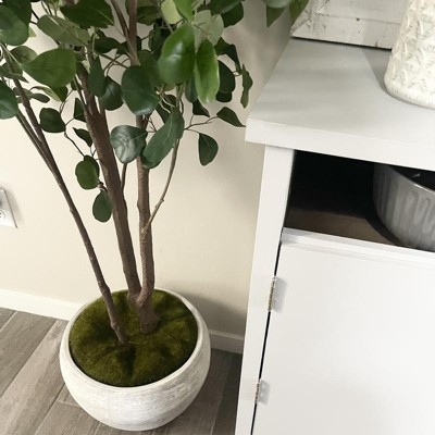 72" Artificial Ficus Tree - Threshold™ Designed With Studio Mcgee : Target