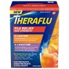 Theraflu Multi-symptom Flu Relief Max Strength Day & Night Powder ...