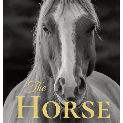 The Finest Horse In Town - By Jacqueline Briggs Martin (paperback) : Target
