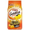 Pepperidge Farm Goldfish Flavor Blasted Xtra Cheddar Crackers - 6.6oz ...