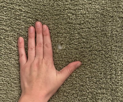 Twin/twin Xl Cozy Chenille Bed Blanket Gray - Threshold™ : Target