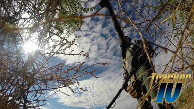 Bounty Hunter Tracker Iv With Pinpointer - Black : Target