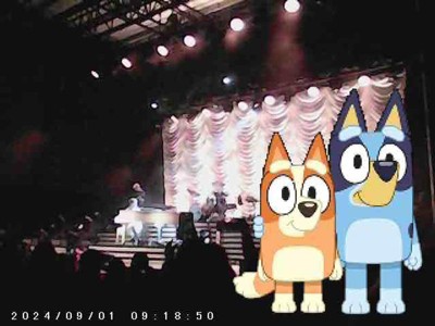 Bluey Digital Camera : Target