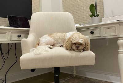 Santa Monica Office Chair - Threshold™ Designed With Studio Mcgee : Target