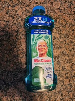 Mr. Clean Meadows & Rain Dilute Multi-surface Cleaner - 41 Fl Oz : Target