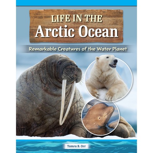 Life In The Arctic Ocean - By Tamra B Orr : Target