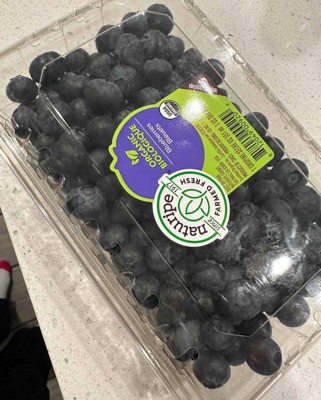 Organic Blueberries - 1pt : Target