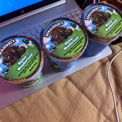 Ben & Jerry's Minter Wonderland Dark Chocolate Mint Ice Cream - 16oz ...