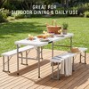 3-Piece Folding Picnic Table and Bench Set with Wood Grain HDPE Top and ...
