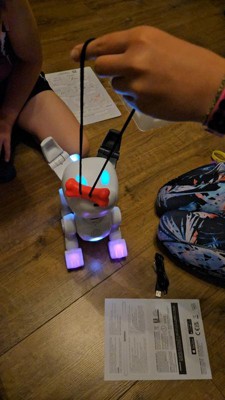 Dog-e Interactive Robot Dog : Target