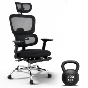 Ergonomic Mesh Office Chair with Adjustable Lumbar, High Back Desk ...