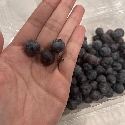 Blueberries - 11.2oz : Target