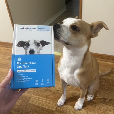 Mysimplepetlab Dog Routine Stool Test Kit : Target