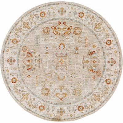 Hauteloom Round Area Rug Denim : Target