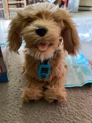 Skyrocket Moji The Lovable Labradoodle : Target