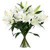 Fresh Cut White Oriental Lily Flowers - 30 Stems : Target