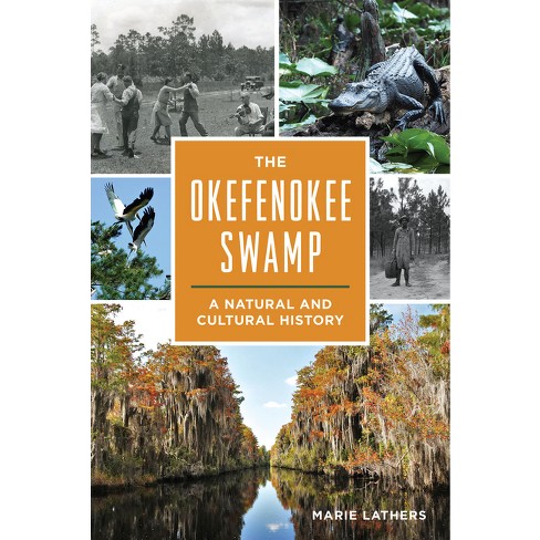 The Okefenokee Swamp - By Marie Lathers (paperback) : Target
