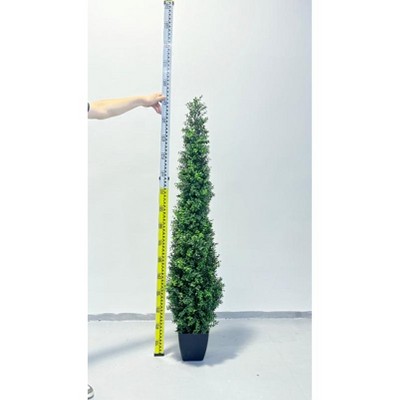 Pyramidal Boxwood Decorative Tree2PCS for Patio 5FT : Target