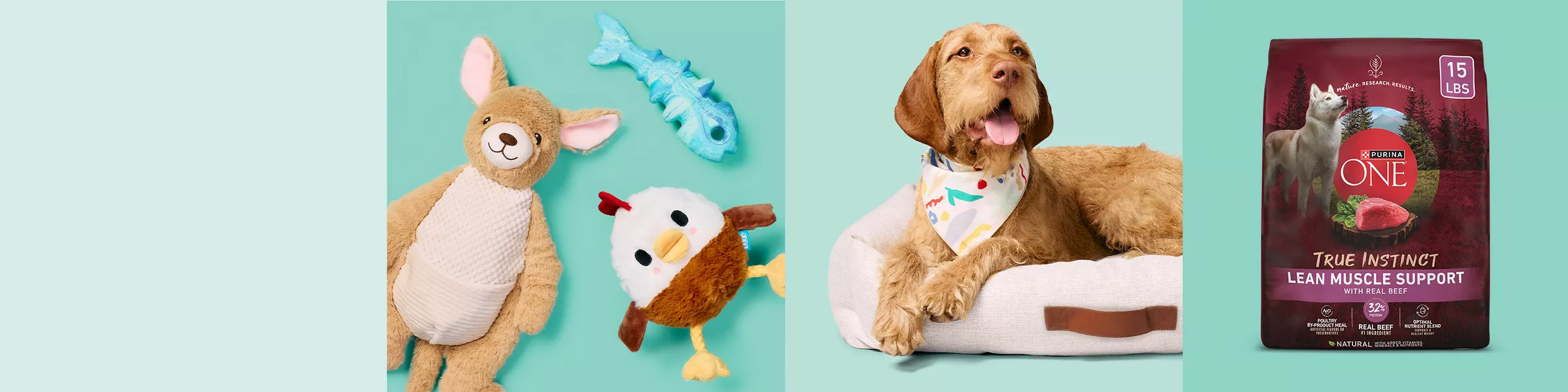 Dog Toys : Page 4 : Target