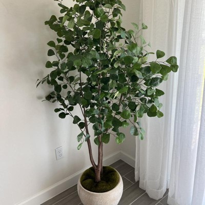 72" Artificial Ficus Tree - Threshold™ Designed With Studio Mcgee : Target